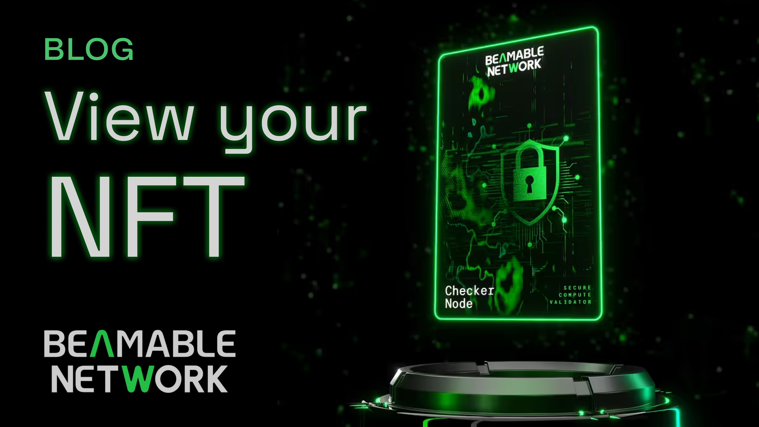 How to view your Beamable NFT